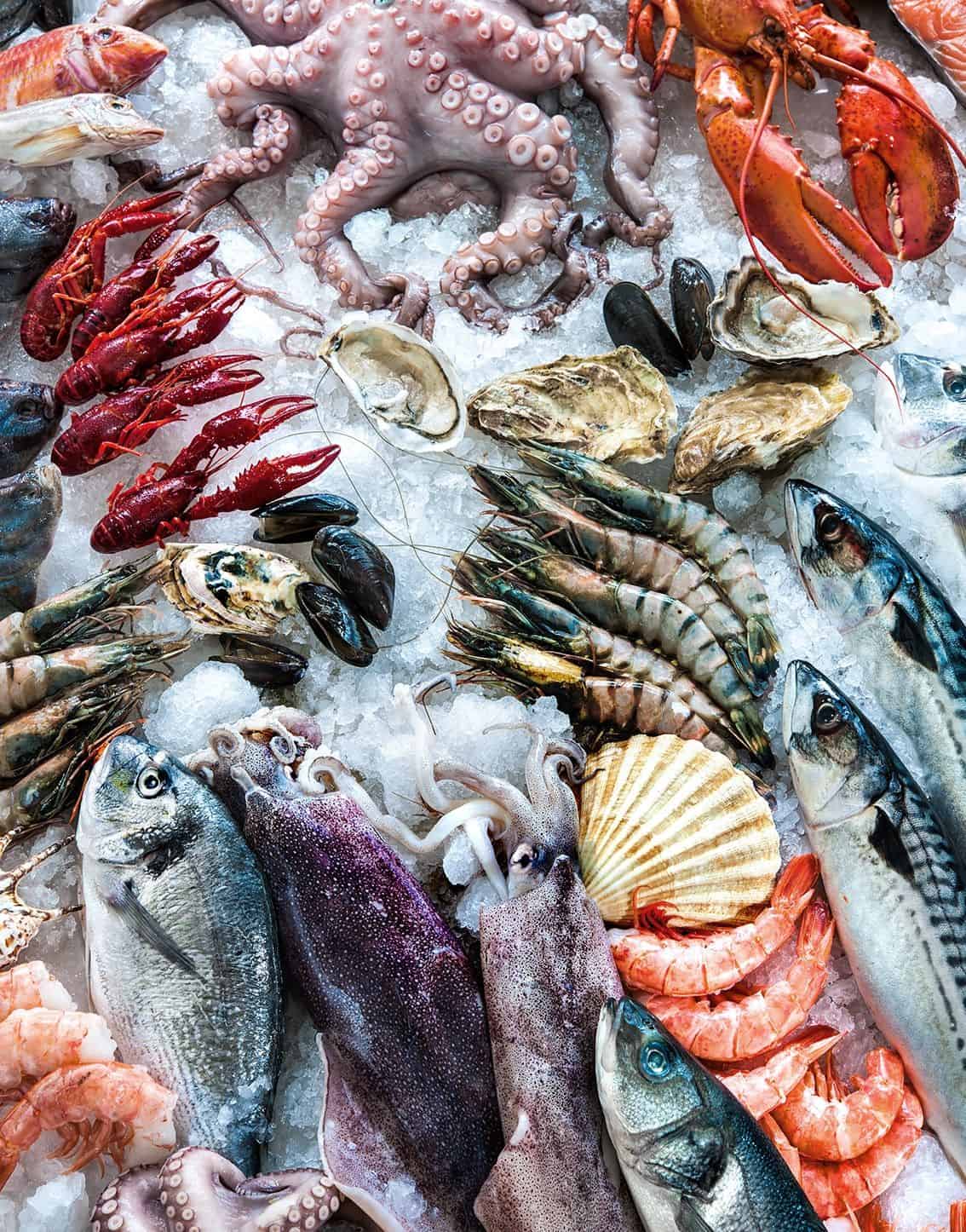 Fish & Seafood » Triton