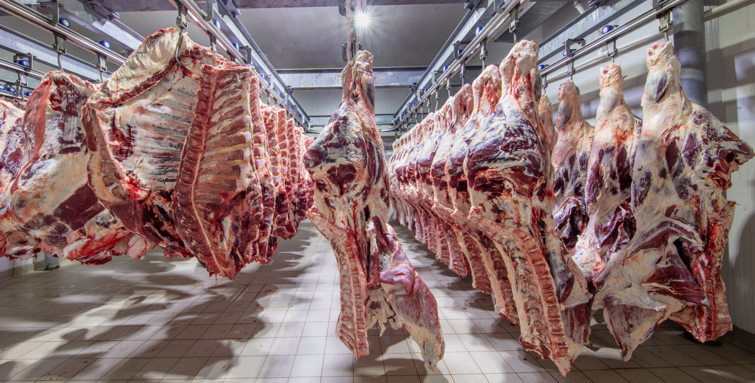 Triton - The Home of Software & Hardware Intelligence